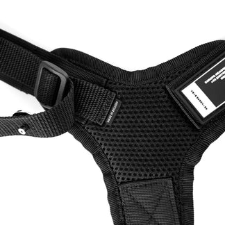 Leg Rig 2.0 – MXDVS